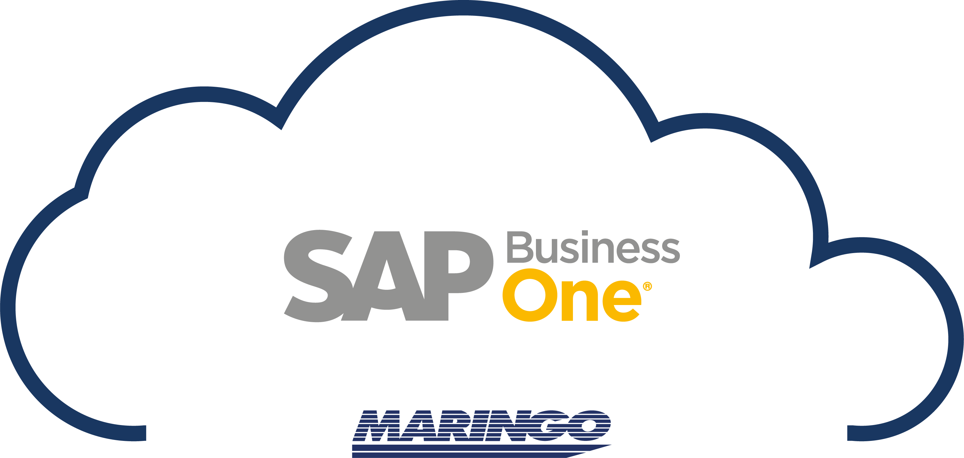 SAP Business One Cloud | ERP-Lösung für KMU