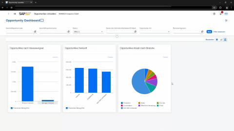 SAP Business One Web-Client Moderne ERP-Software