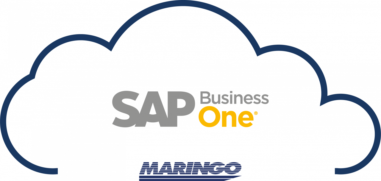 SAP Business One Preise | Cloud | OnPremise