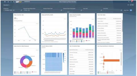SAP Business One Web-Client Moderne ERP-Software